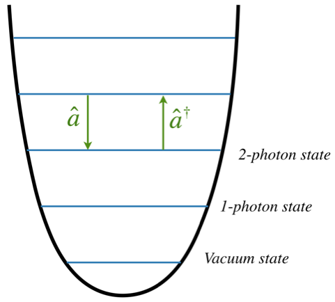 Quantum Light – CNQO