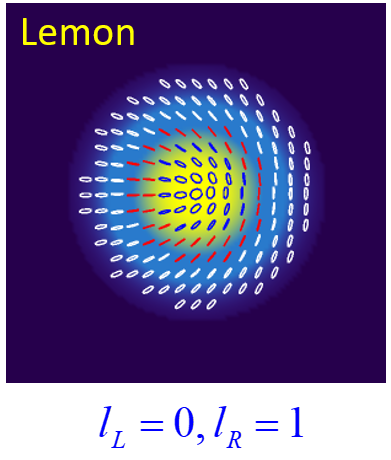 Propagation – CNQO